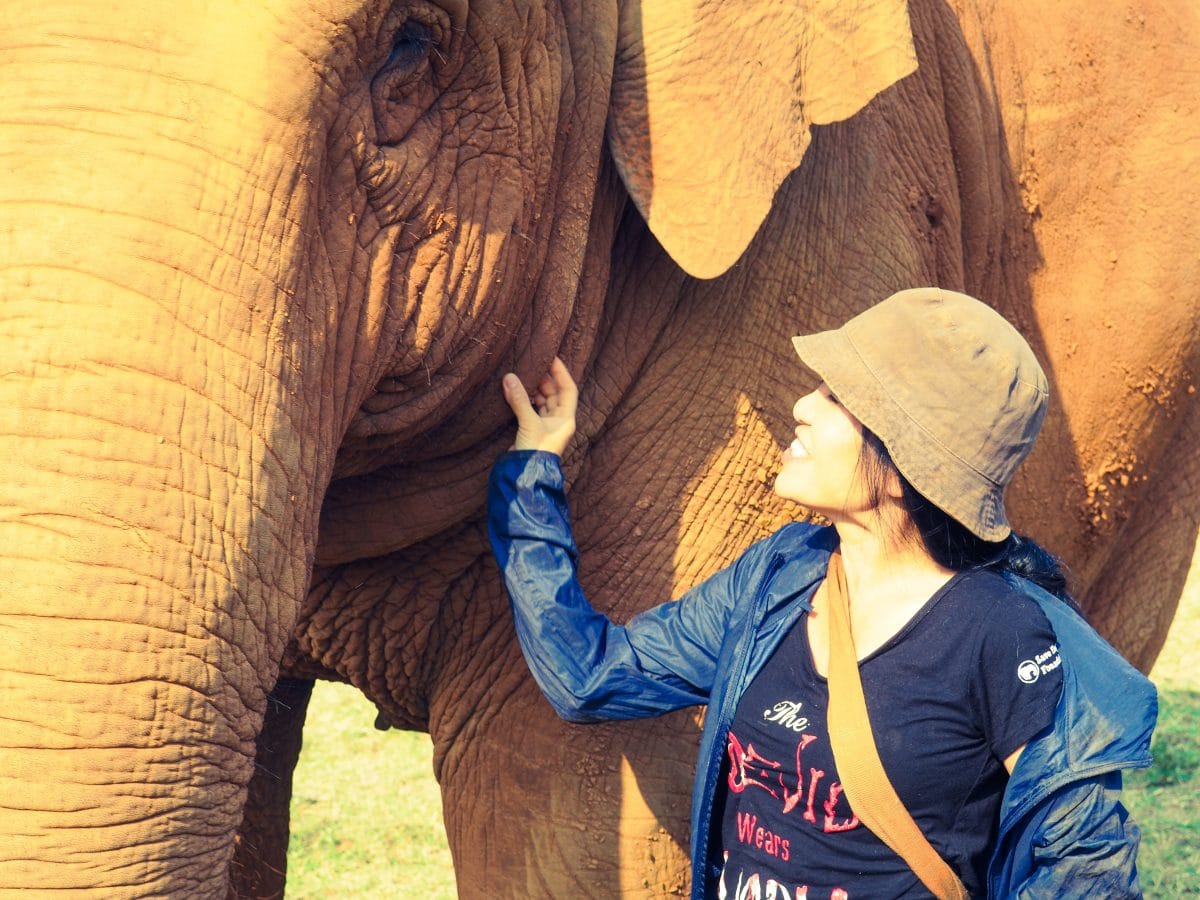 Lek Chailert protectrice des éléphants - rencontre Cap sur la terre
